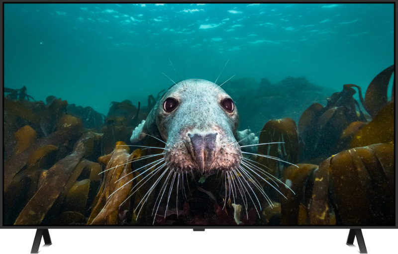 NPO live kijken bij CANAL+ | Kijk nu live op tv | CANAL+